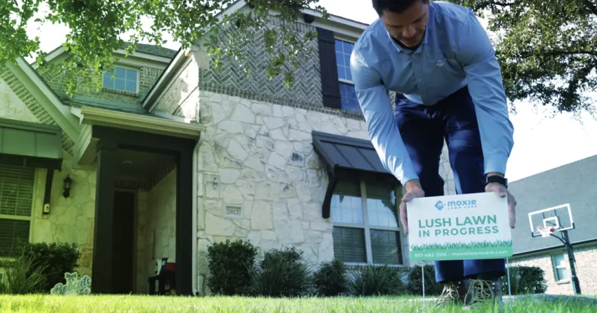 How To Identify And Remove A Wasp Nest Moxie Pest Control