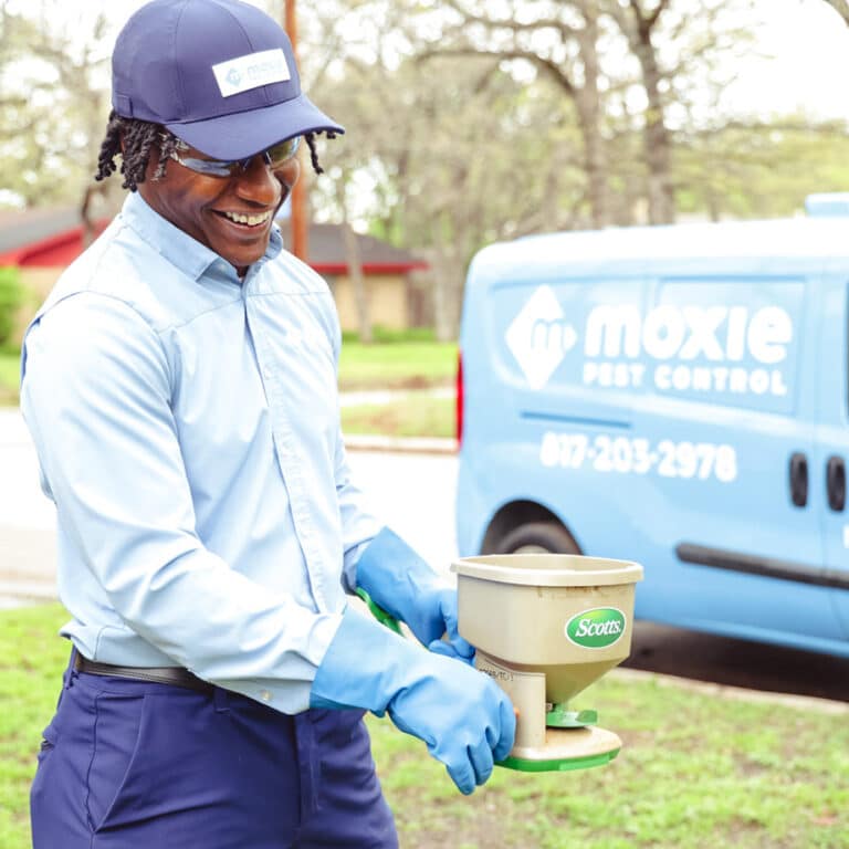 Oklahoma Pest Control & Home Services | Moxie Pest Control