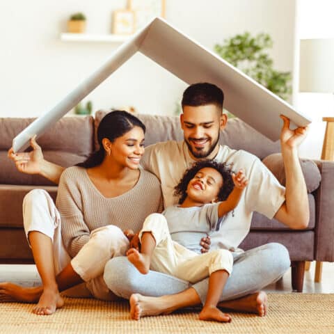 Pest Control Boston | Moxie Pest Control